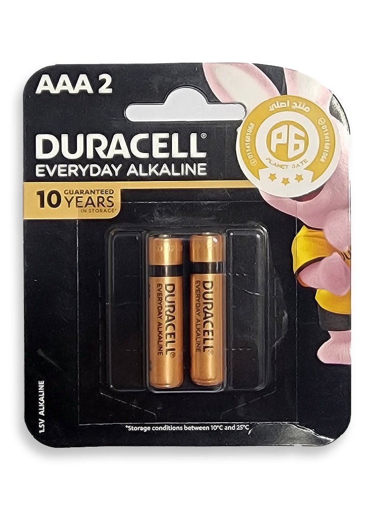 Duracell EveryDay Alkaline AAA Batteries - 2 Pieces Gold – Planet Gate